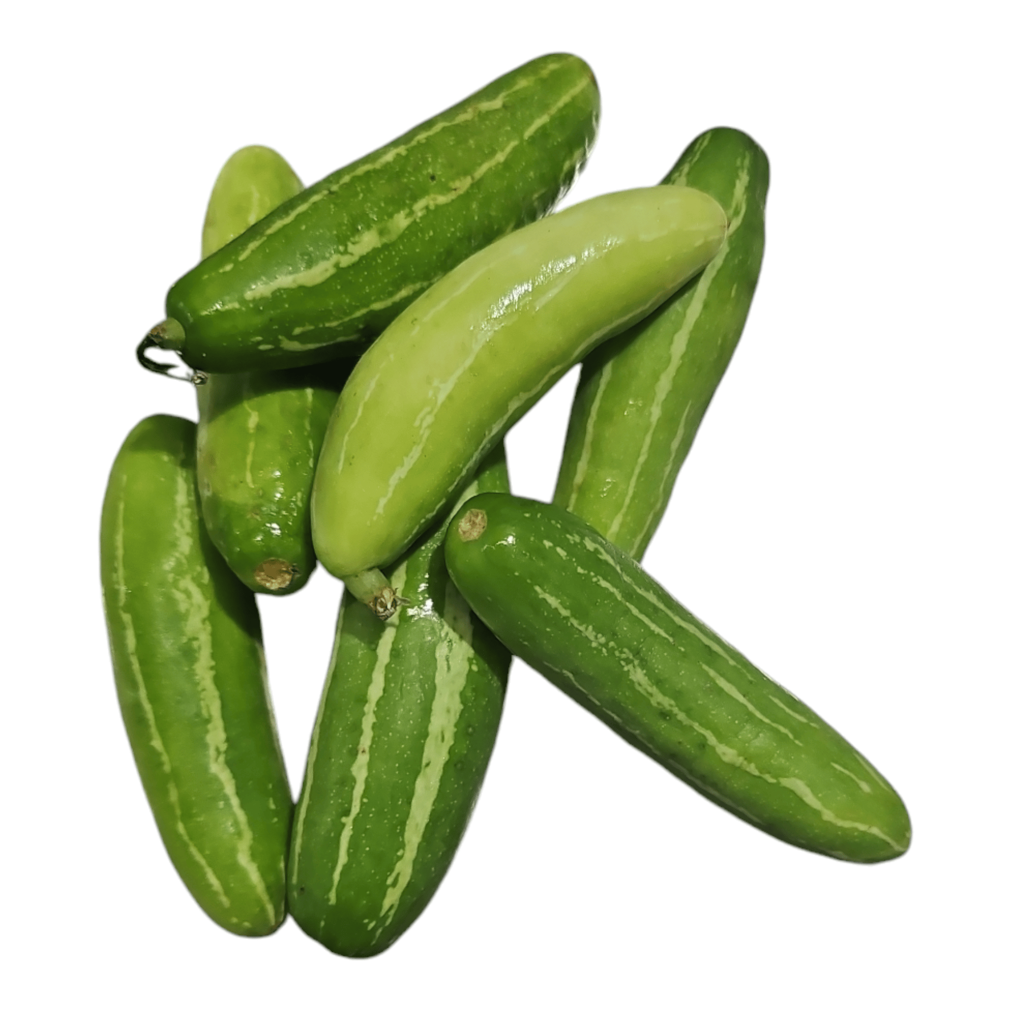 Tindora - 1 LB – Insta Mandi