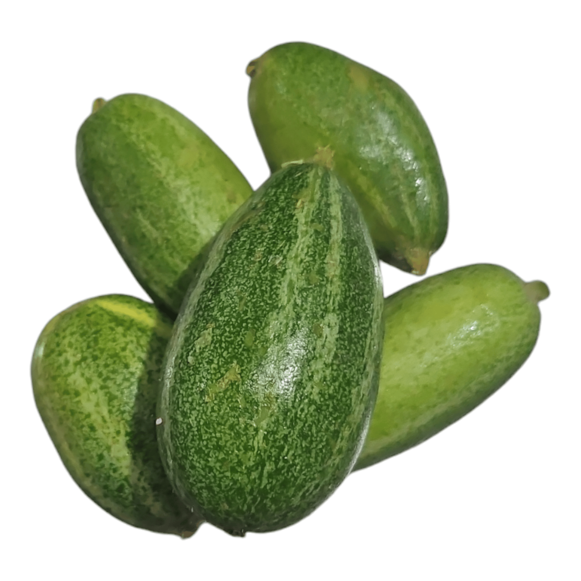 Parval - 1 LB – Insta Mandi